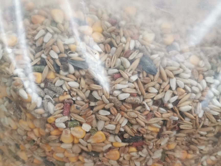 Корм для Хомяков, крыс, грызунов