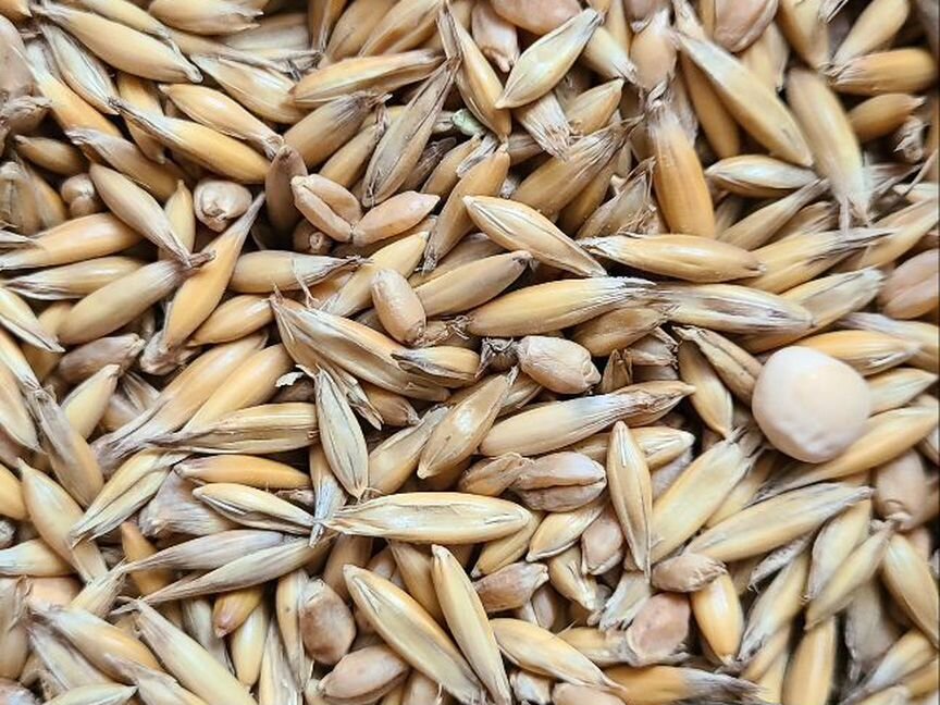 Корм для грызунов