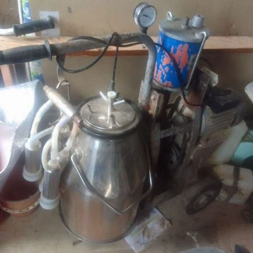 Доильный аппарат для коров бу