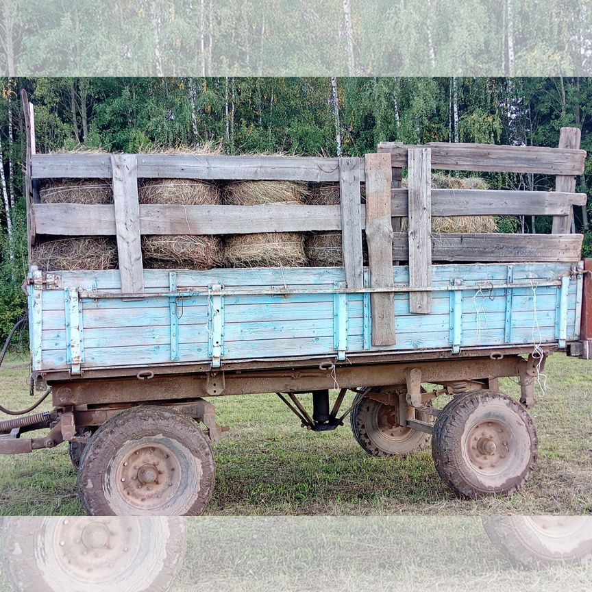 Сено в рулонах