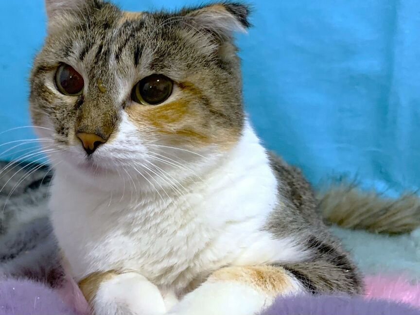 Жизнь прекрасна, если рядом буду я