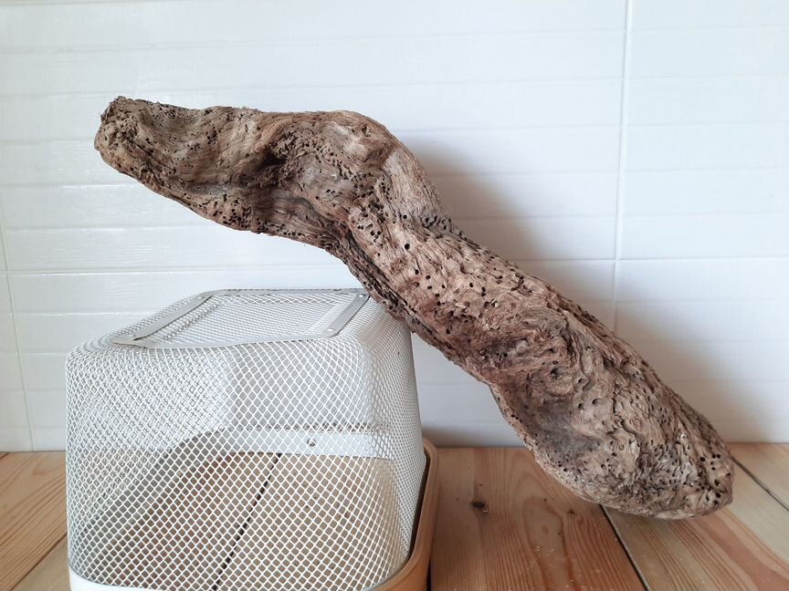 Дрифтвуд большая коряга. Длина 52см