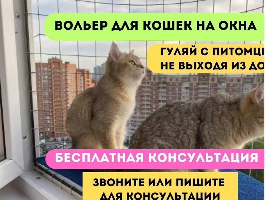 Балкончик для выгула кошки