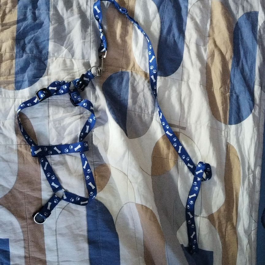 Шлейка для кота