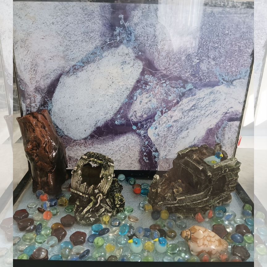 Аквариумные рыбки сомики