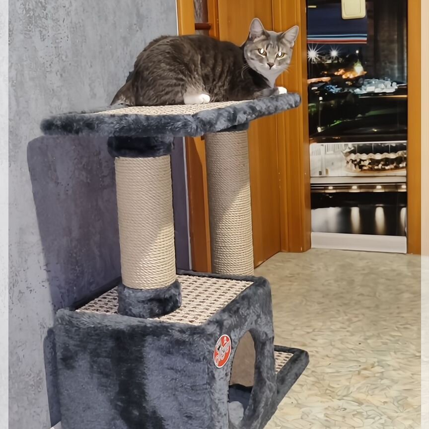Когтеточка с домиком и лежанкой