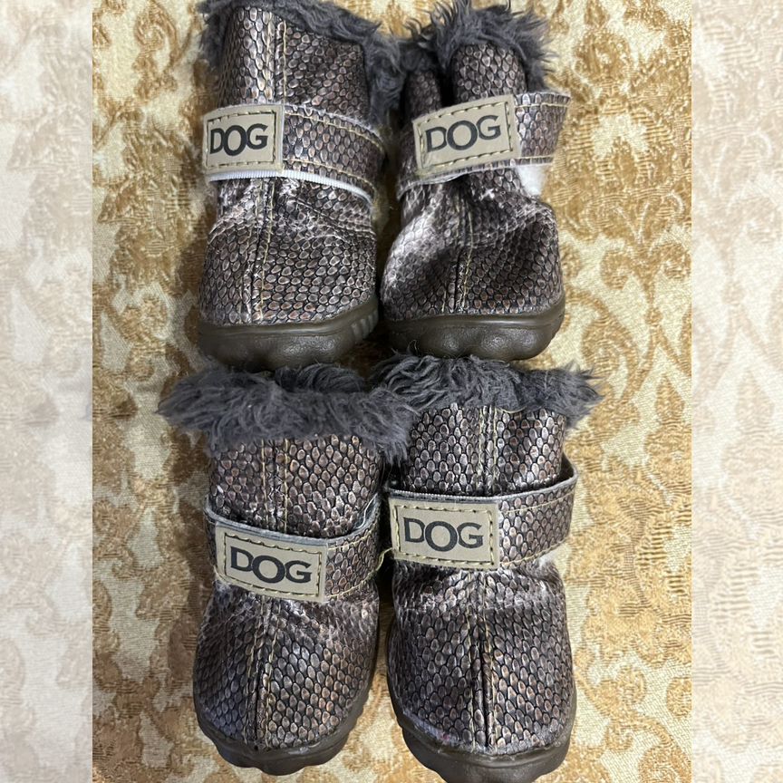 Обувь доя собак