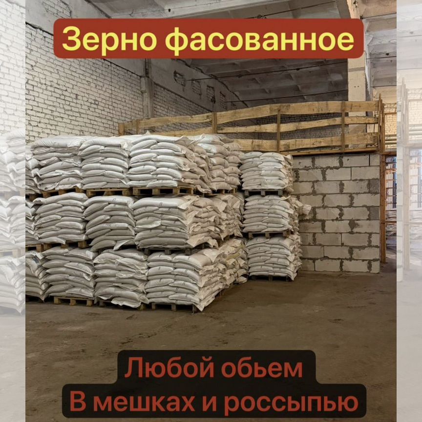 Зерно фасованное от 10 тонн