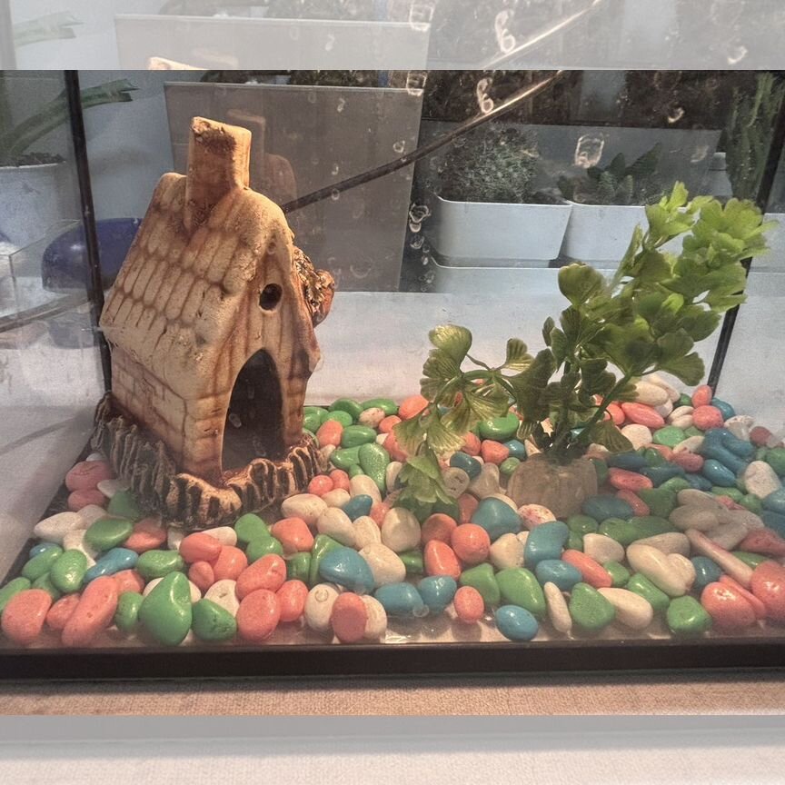 Аквариум для рыбок