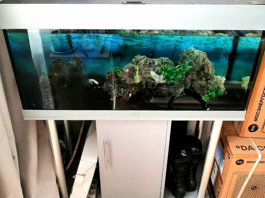 Аквариум 200 литров с тумбой