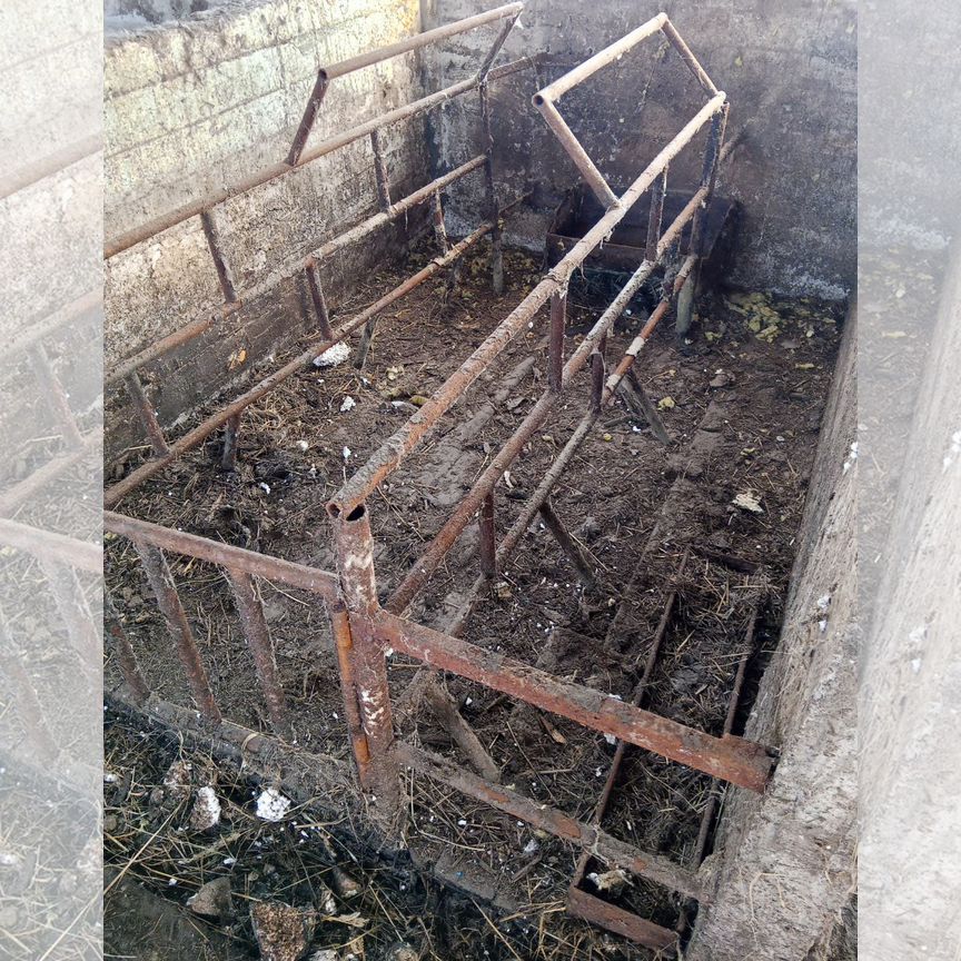 Станок для опороса