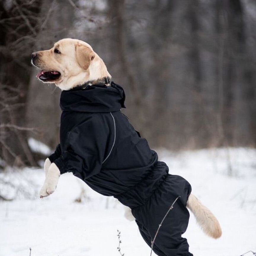 Зимний комбинезон для собак Rain Dog Snow 