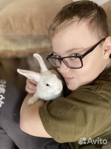 Декоративные кролики в добрые руки