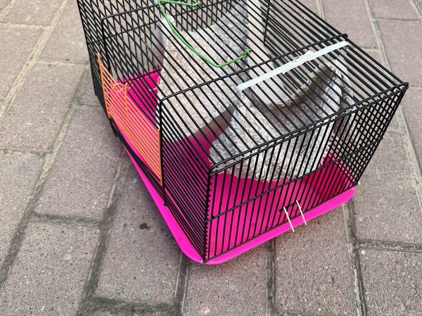 Клетка для хомяка