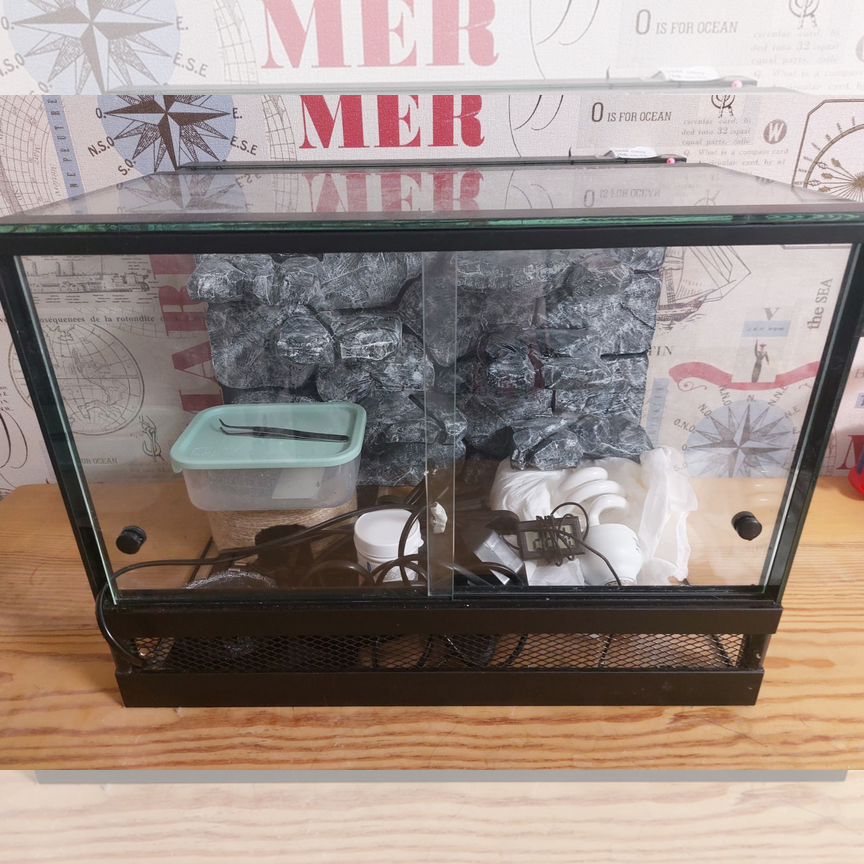 Террариум для рептилий под ключ