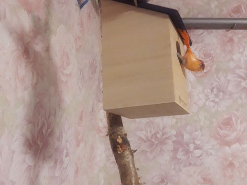 Скворечник и кормушка для птиц