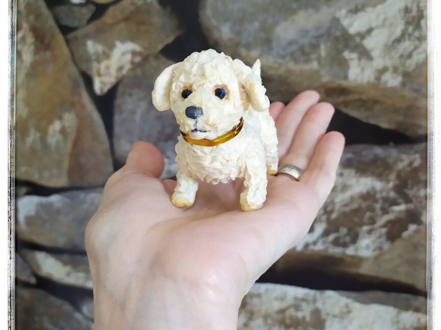 Мальтийская болонка"