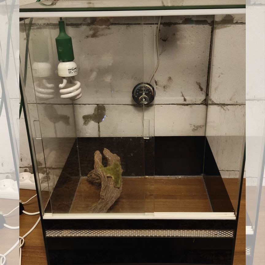 Террариум для рептилии бу