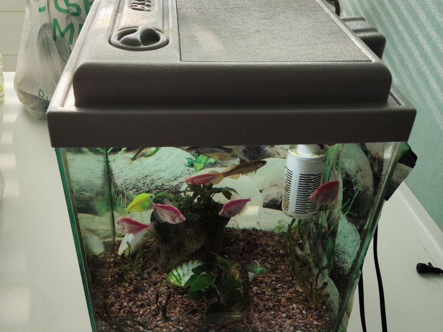 Аквариум куб 20 литров