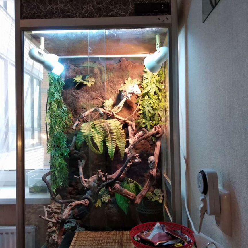 Террариум большой