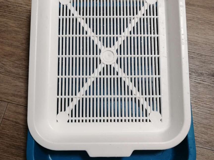 Кошачьи принадлежности