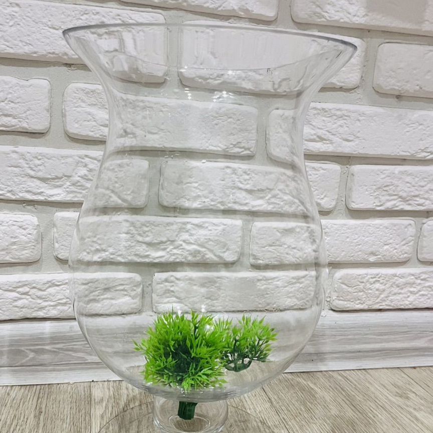 Аквариум, террариум, флорариум