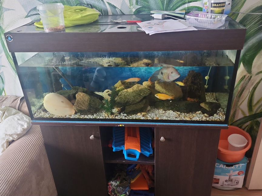 Аквариум с тумбой 300 литров