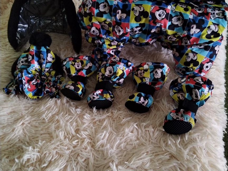 Одежда для собак мелких пород мальчика