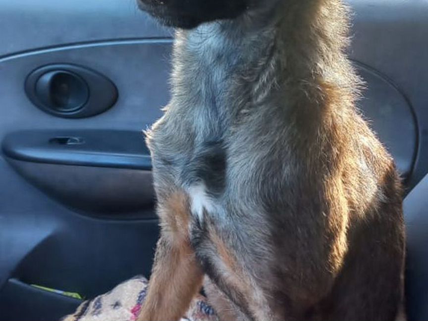 Обворожительная девчушка