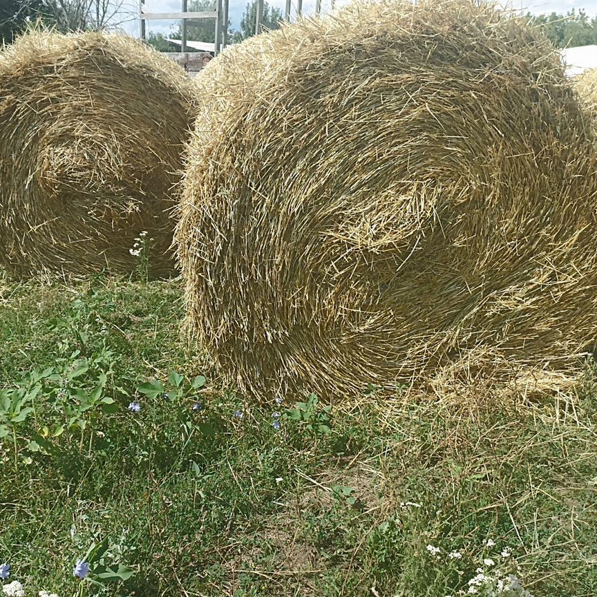 Солома в рулонах