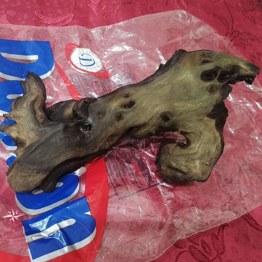 Коряга мангровая