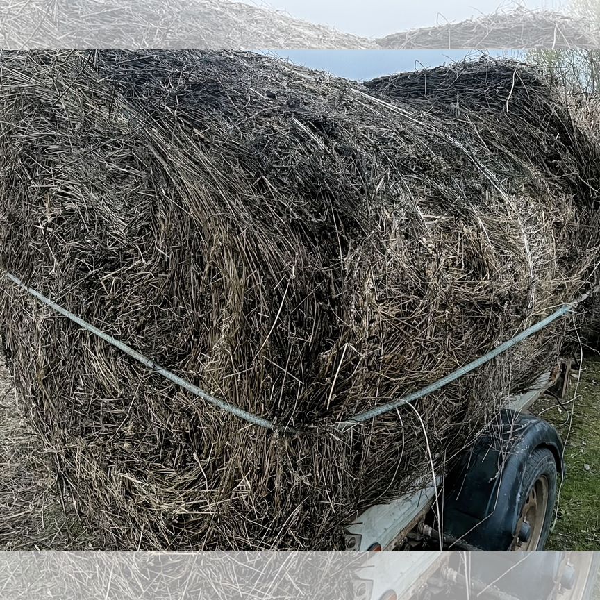 Сено в рулонах