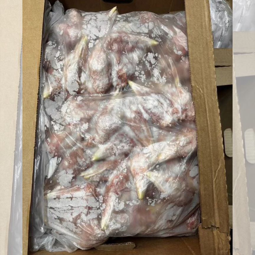 Головы индейки