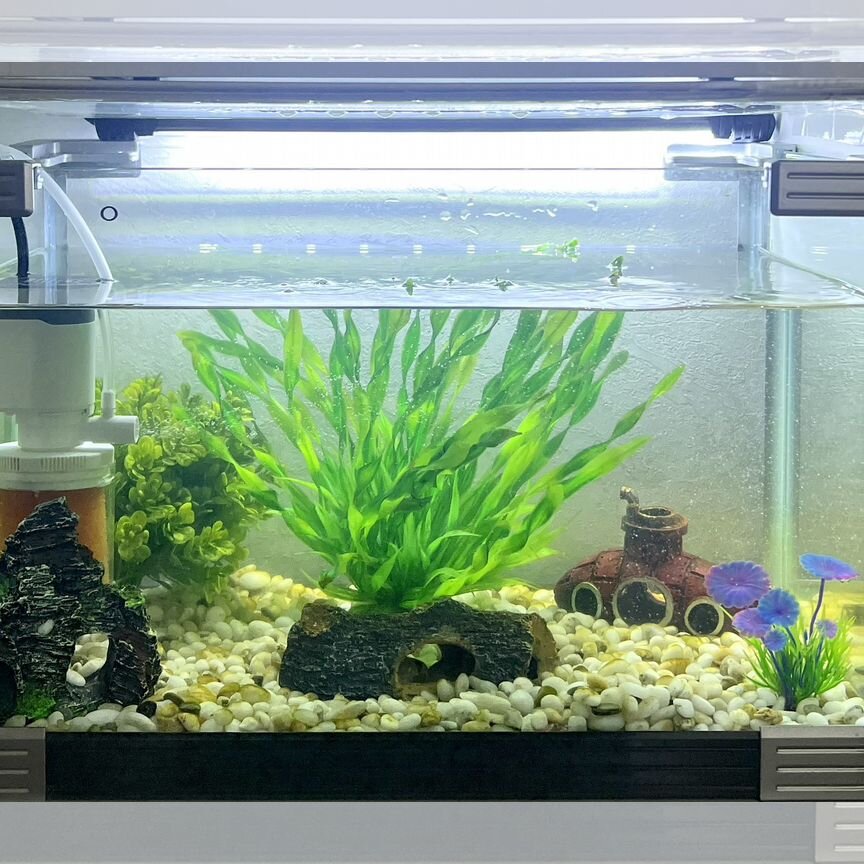 Аквариум boyu с украшением и сомиками