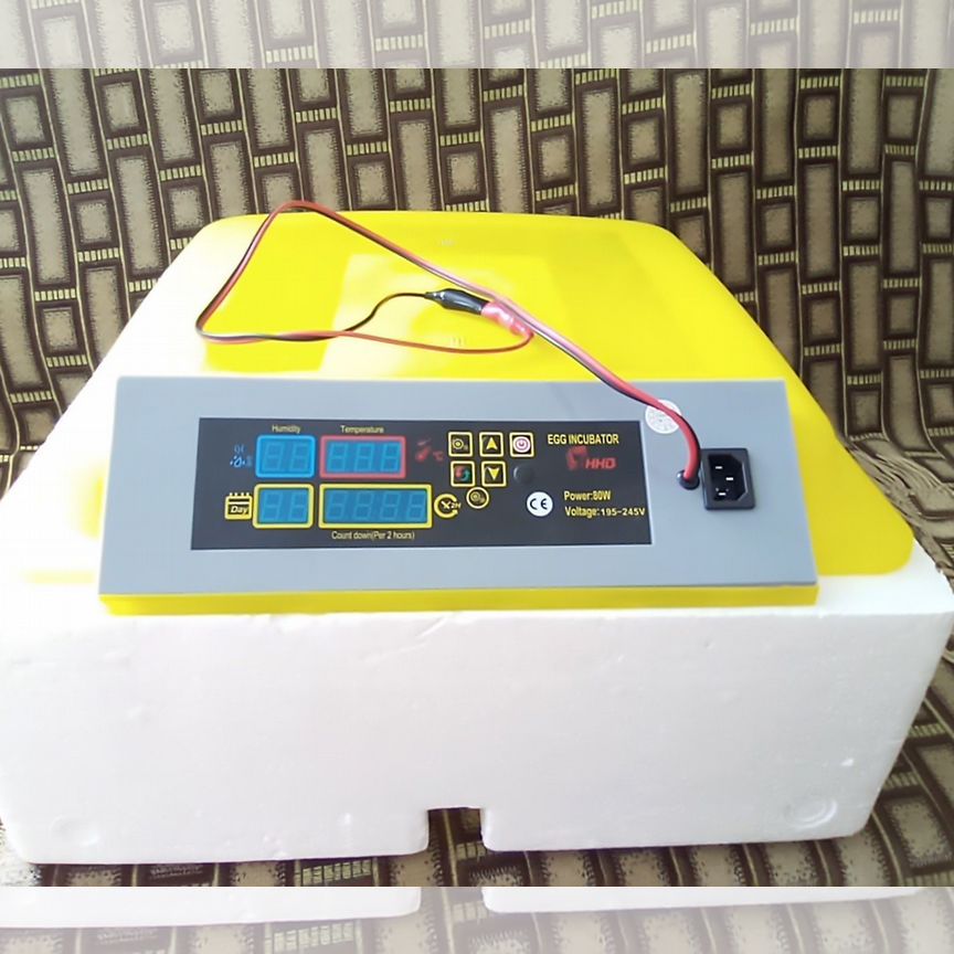 Инкубатор для яиц