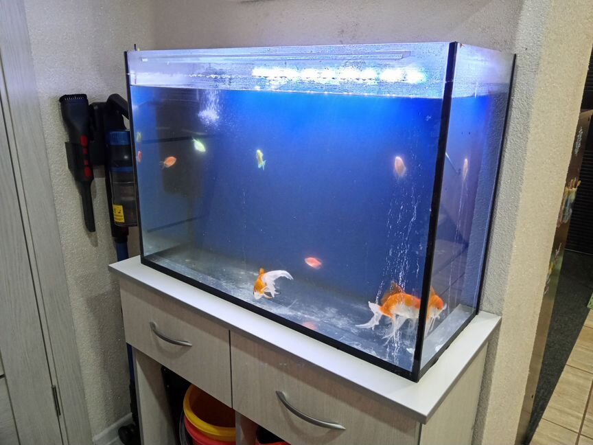 Аквариум с рыбками