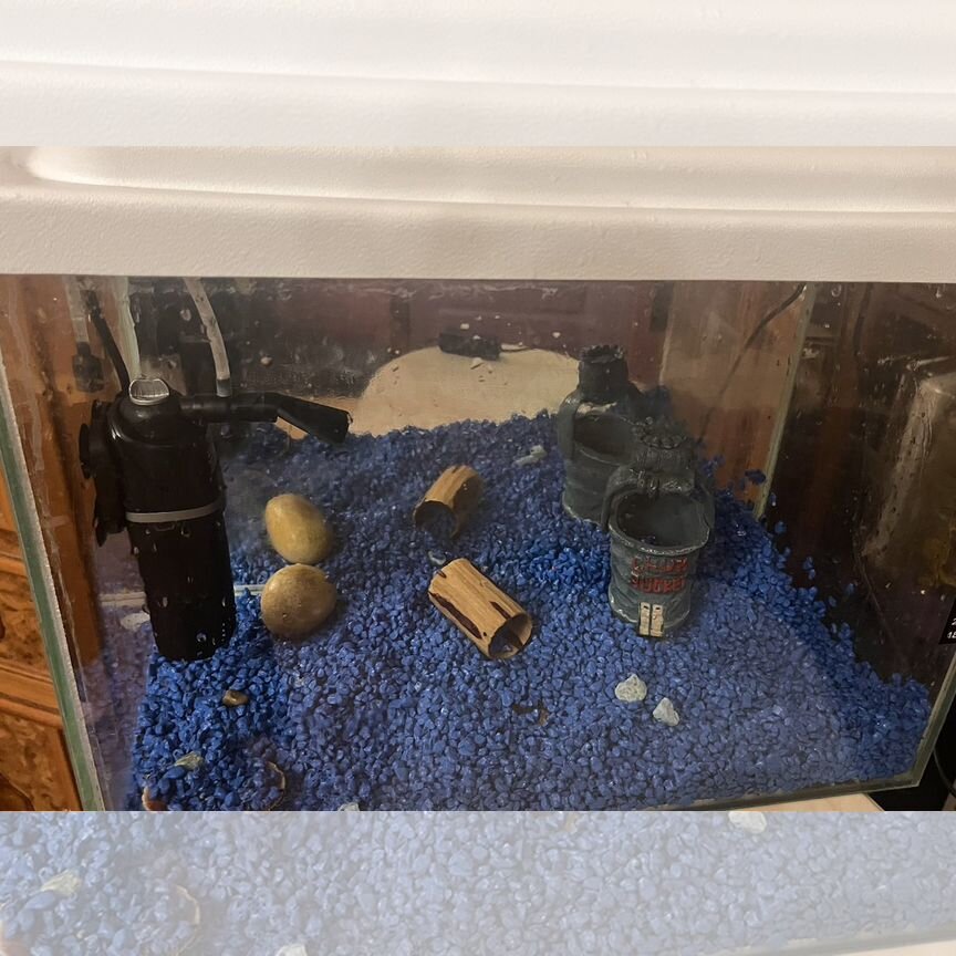 Аквариум с грунтом и фильтром