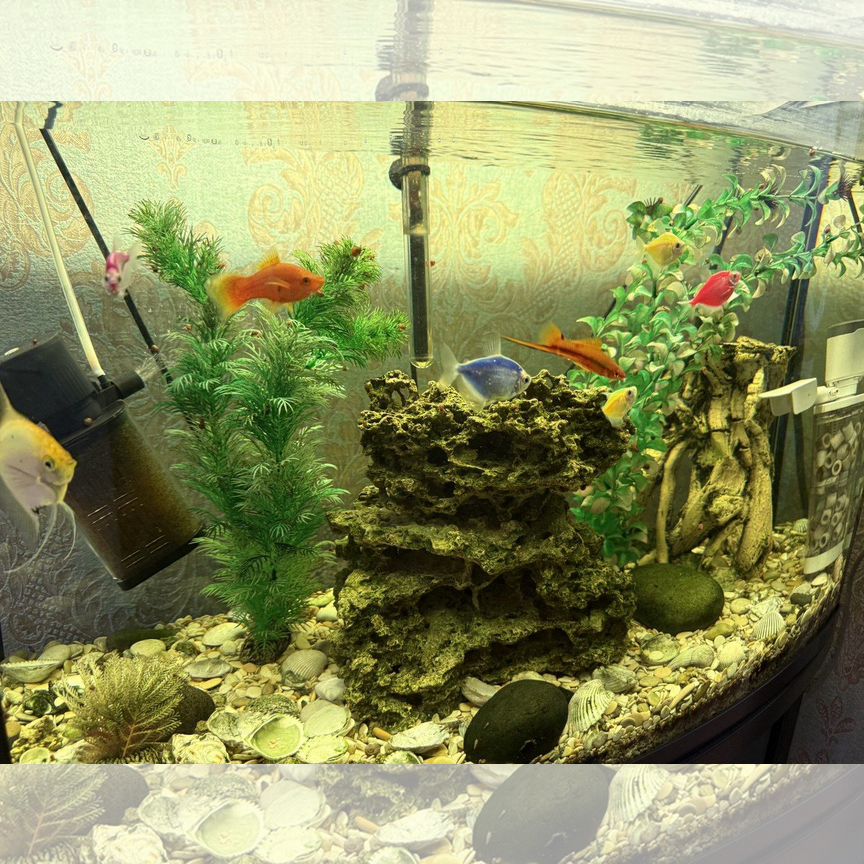 Аквариум для рыбок 100 л