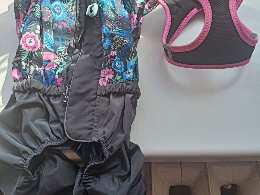 Комбинезон и шлейка для собаки