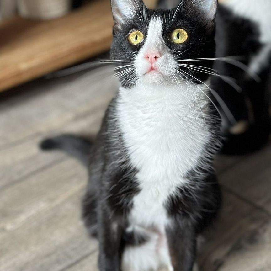 Максим отдаётся в надёжные руки