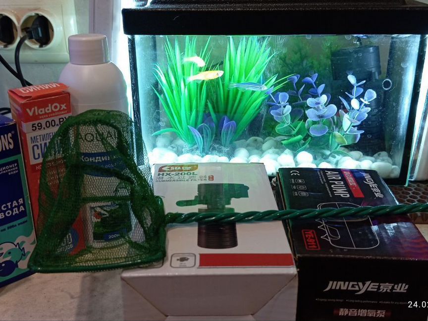 Работающий маленький аквариум с рыбками