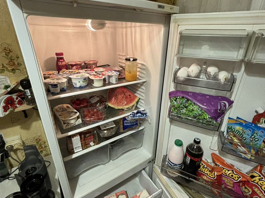 Готовая еда для собак