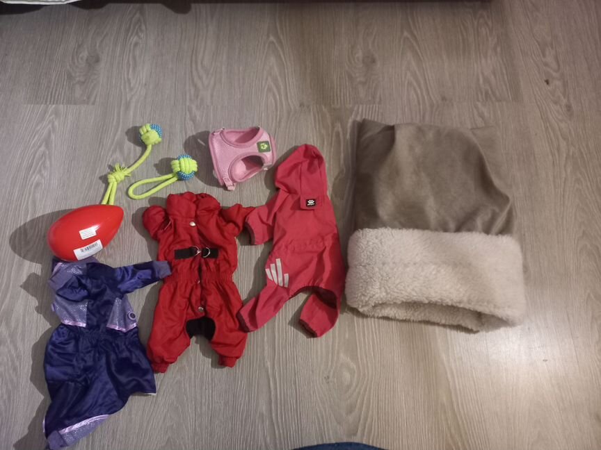 Вещи пакетом для собак