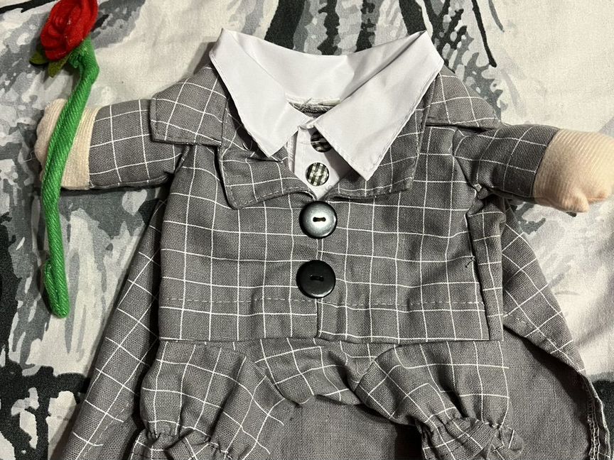 Костюм-джентельмен для кошки, маленькой собачки