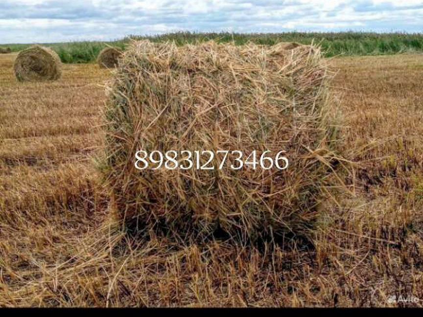 Продам сено в рулонах