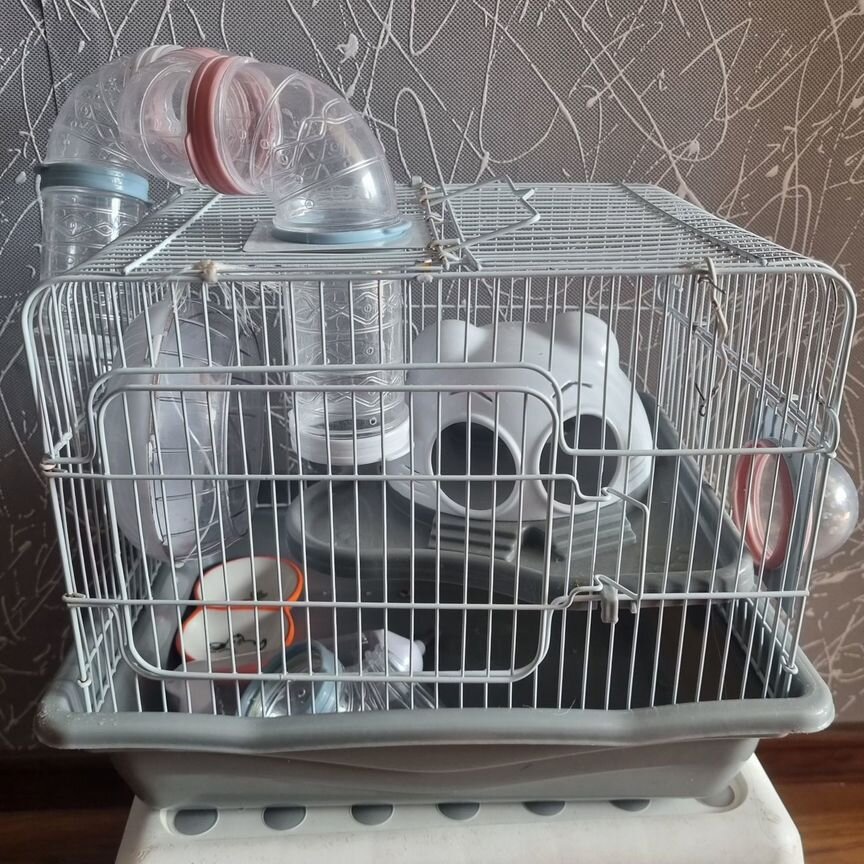 Клетка для грызуна большая. И круг для бега