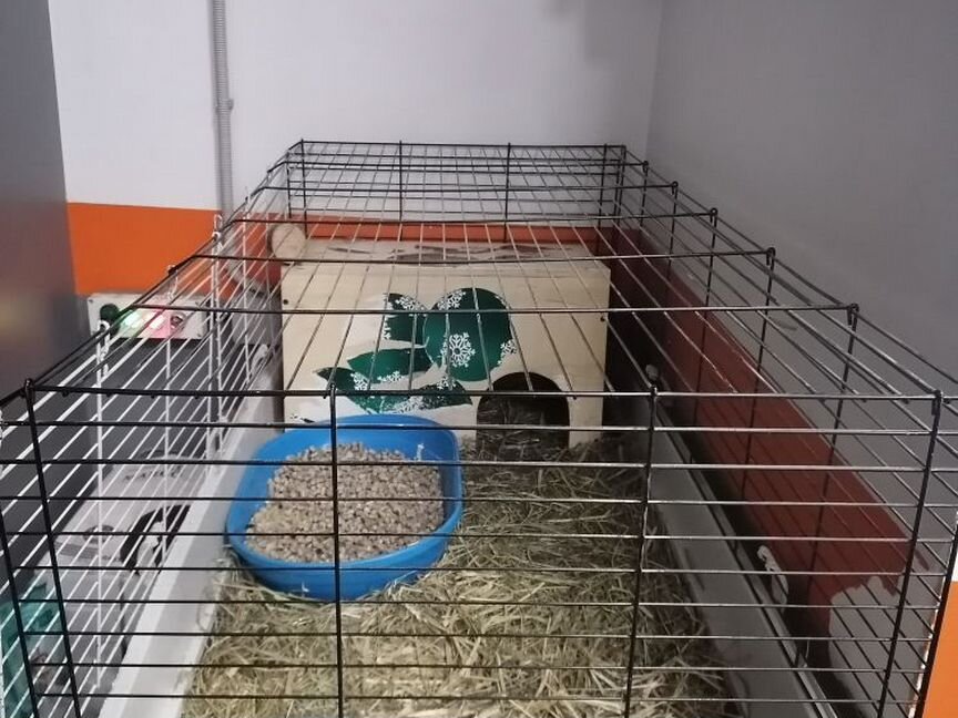Продаю клетку для кролика, шиншилы