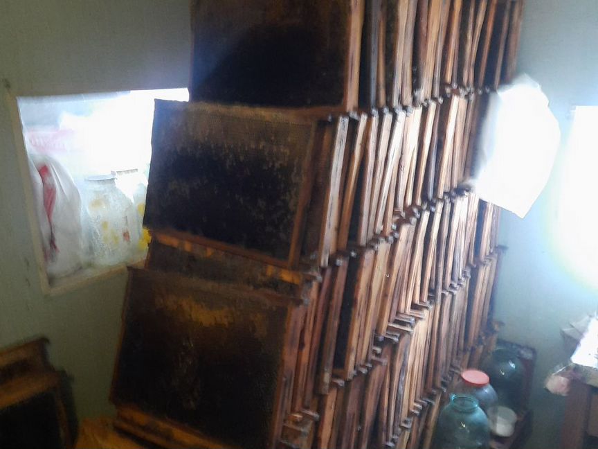 Сушь для пчел