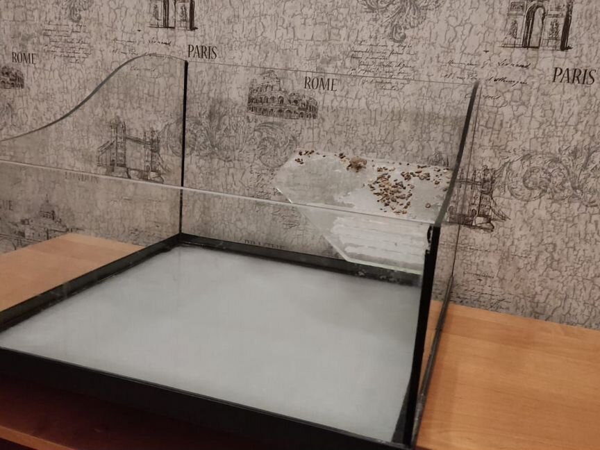 Террариум для черепахи