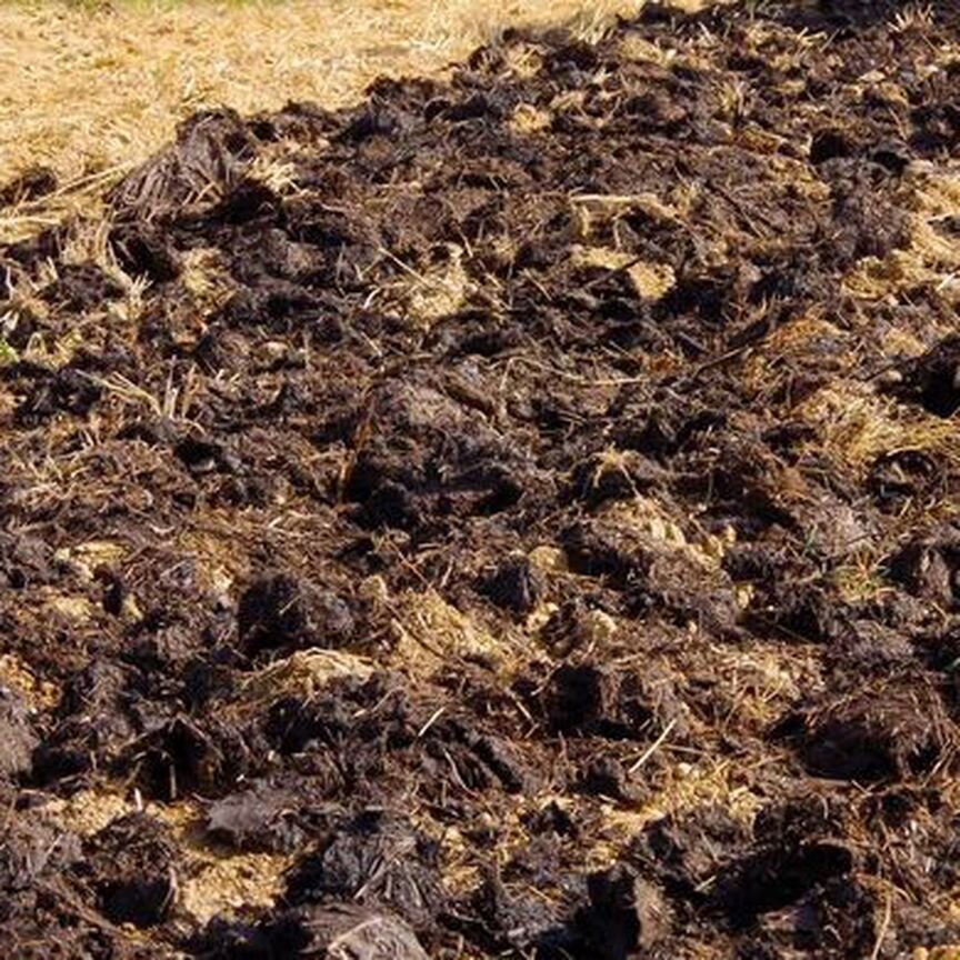 Навоз перегной